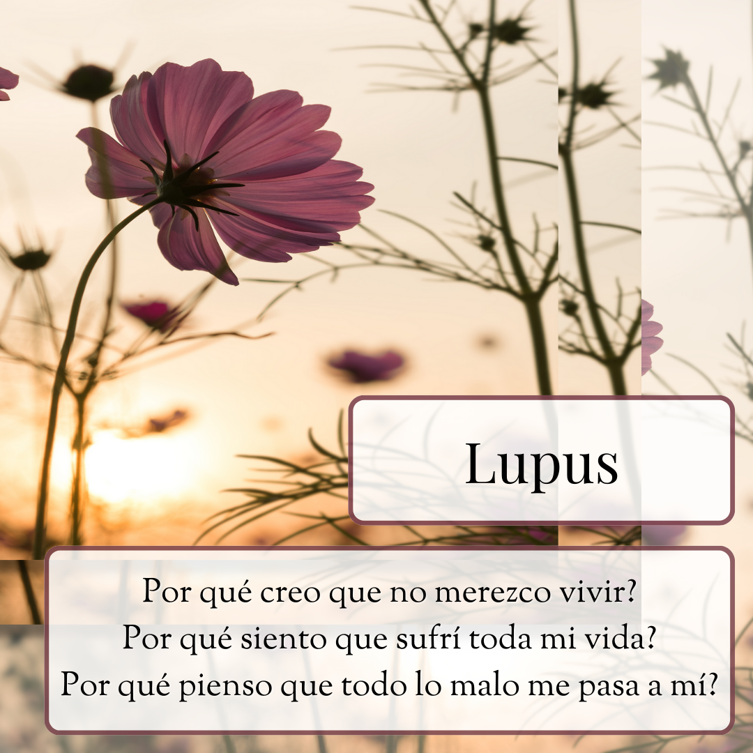 Lupus - Biodescodificación Mónica De Valois